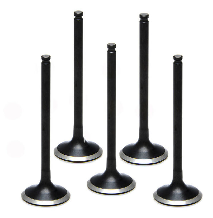 Kibblewhite +1mm Oversize Intake & Exhaust Valves Set 660 Raptor Rhino ...